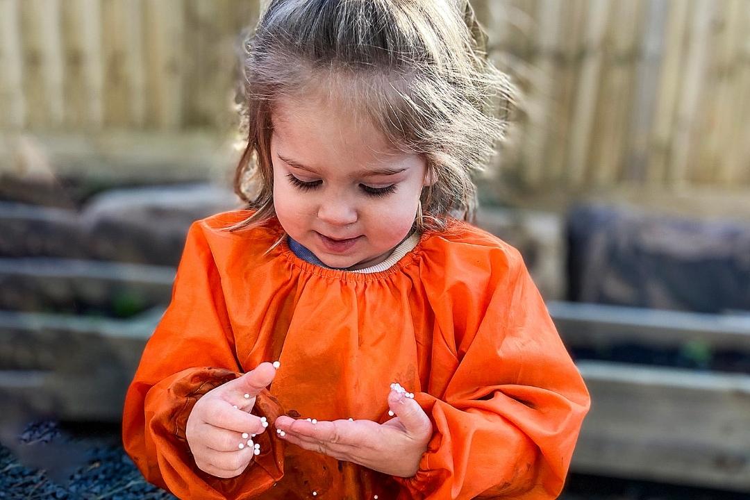 Curriculum | Inspired Early Learning